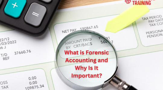 What is Forensic Accounting, and Why Is it Important?
